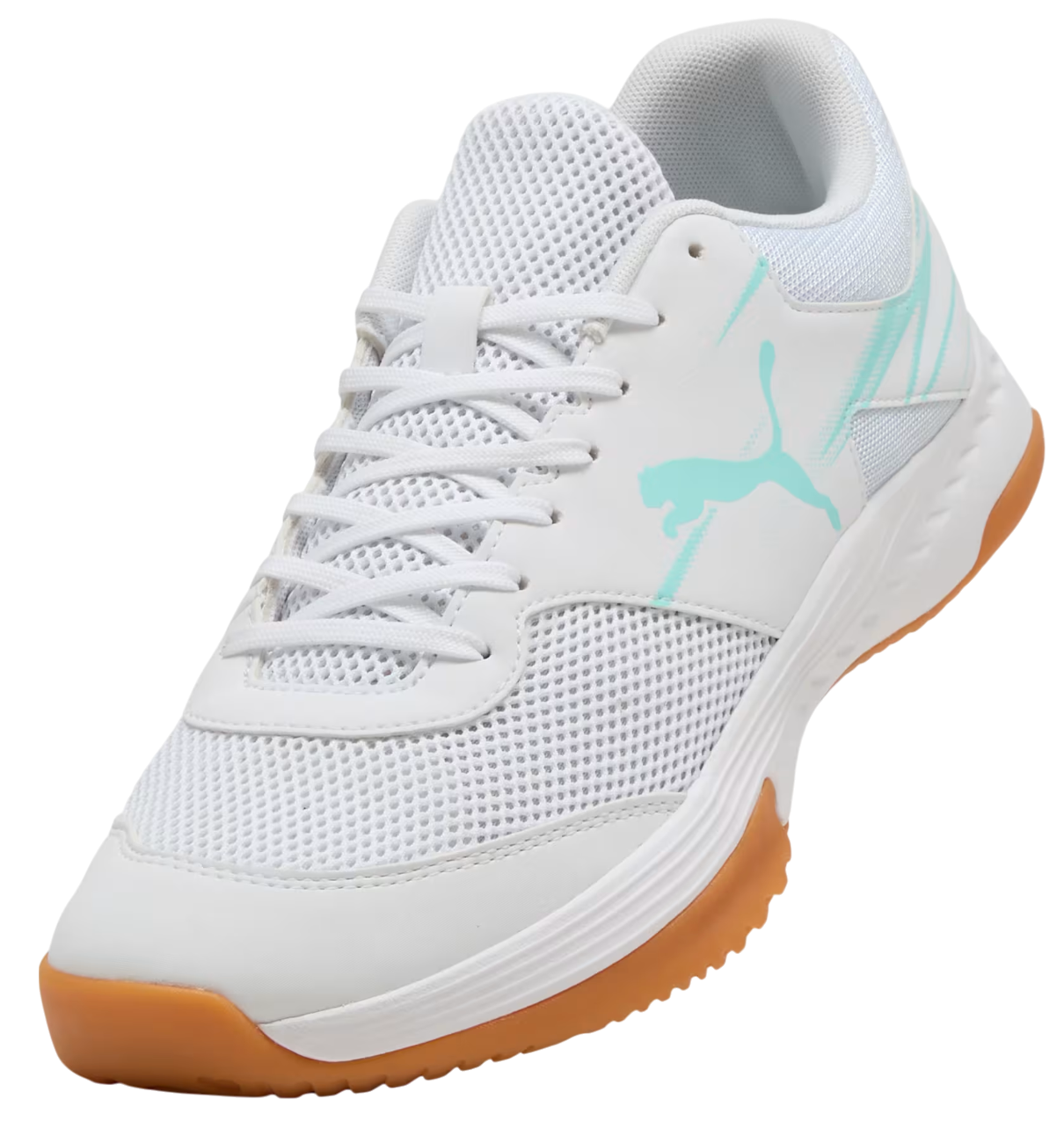 Indoor Schuhe Puma Varion II - Top4Running.de