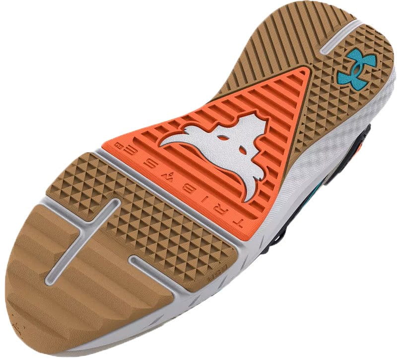 Scarpe fitness Under Armour UA Project Rock BSR 3-GRY - Top4Running.it