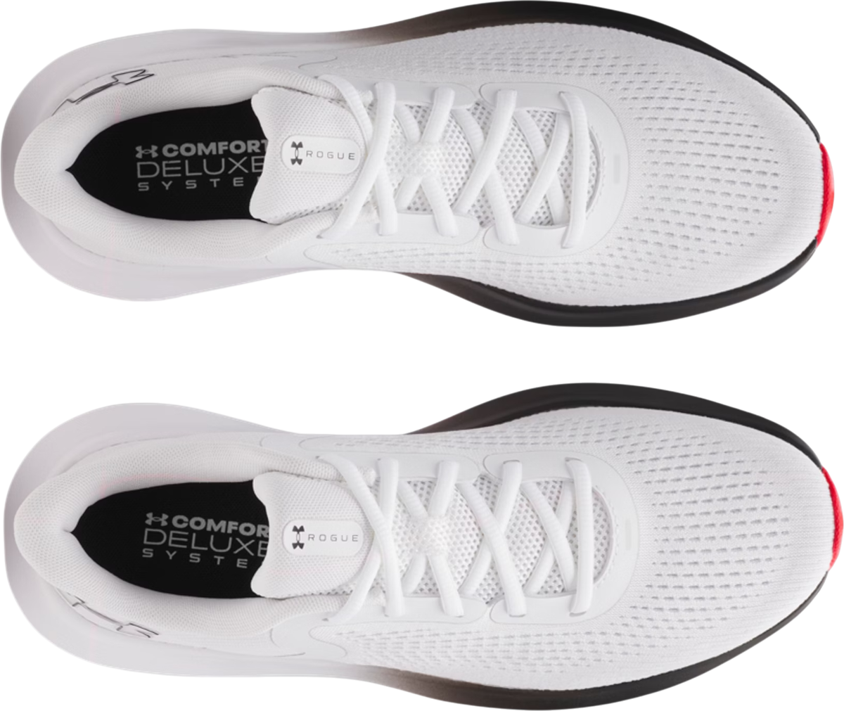 Chaussures de running Under Armour UA Charged Rogue 5 - Top4Running.fr