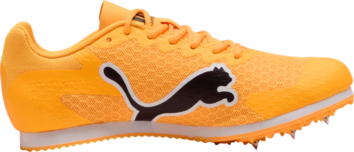 Spikes Puma evoSPEED Star 9 - Top4Running.de