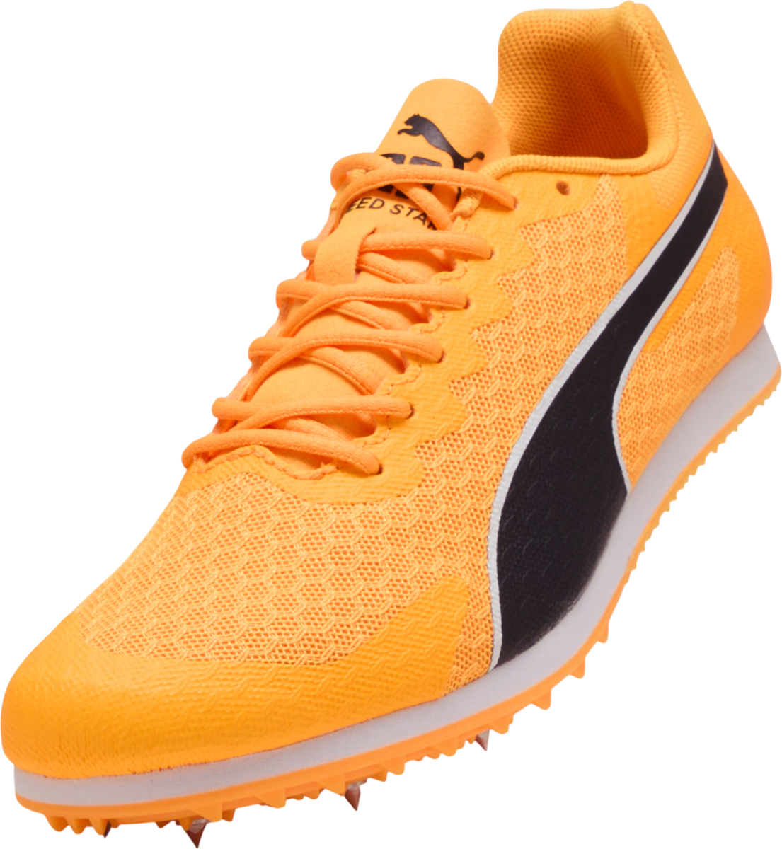 Spikes Puma evoSPEED Star 9 - Top4Running.de