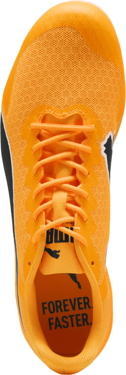 Spikes Puma evoSPEED Star 9 - Top4Running.de