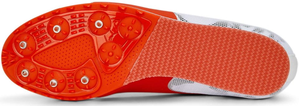 Track shoes/Spikes Puma evoSPEED Star 8 - Top4Running.ie