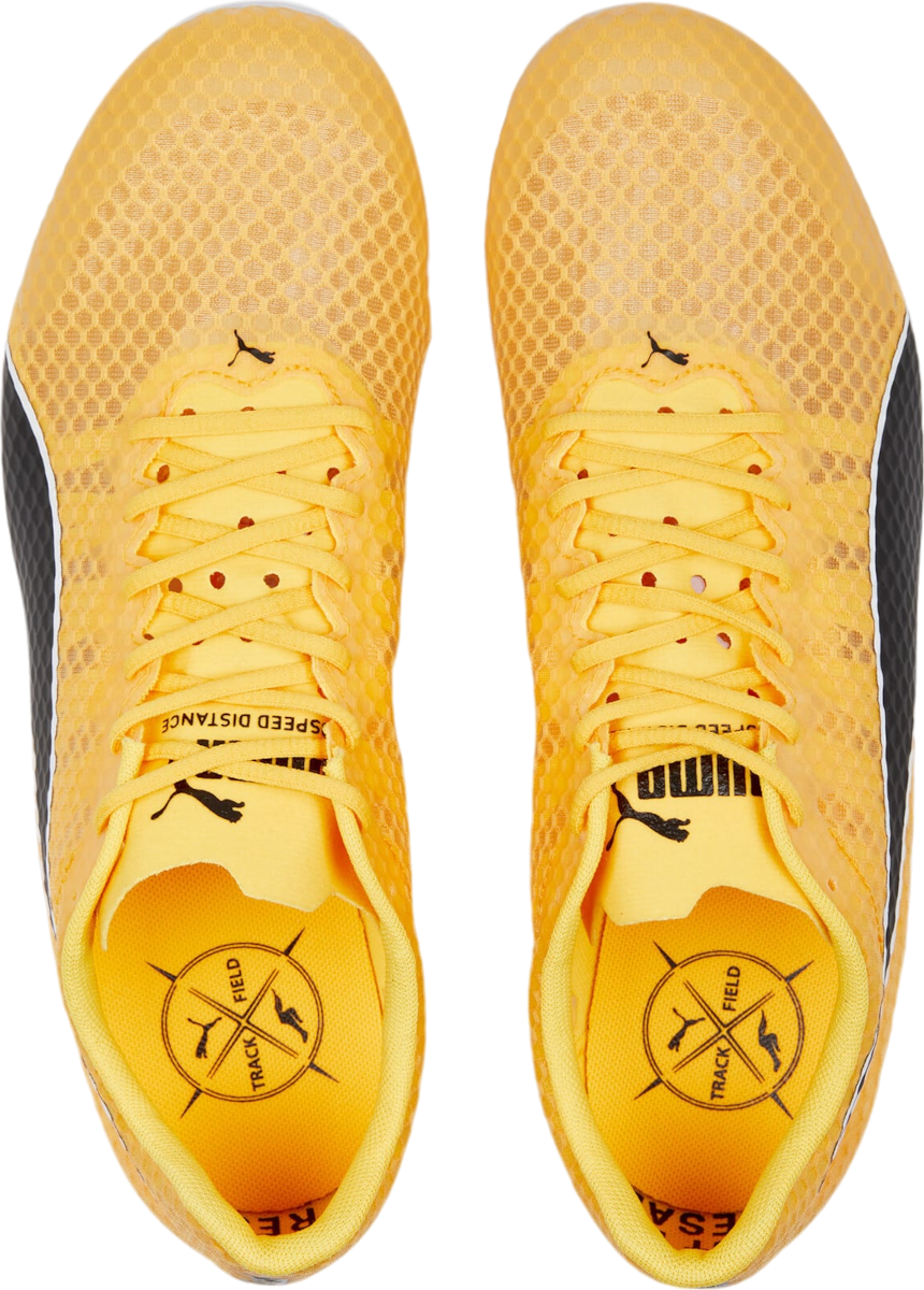 Spikes Puma evoSPEED Distance 11 - Top4Running.de