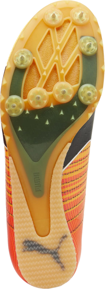 Spikes Puma evoSPEED FUTURE JUMP 6 - Top4Running.de