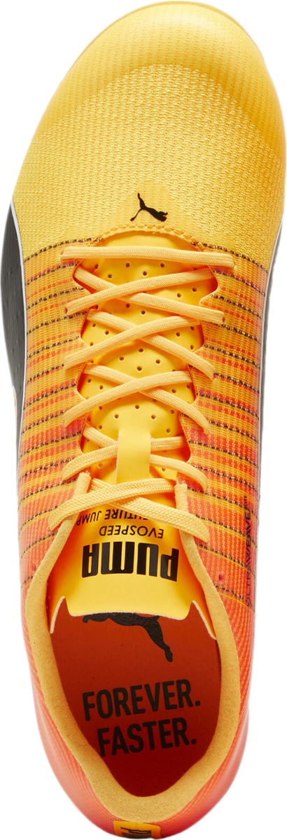 Chaussures de course à pointes Puma evoSPEED FUTURE JUMP 6 - Top4Running.fr