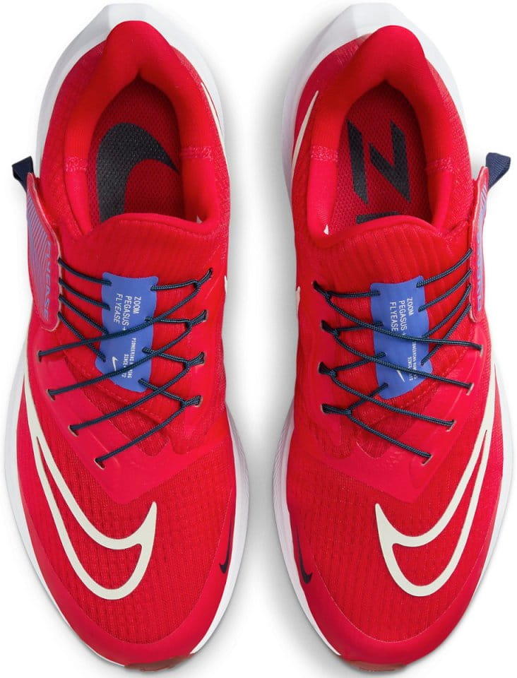 Running shoes Nike Pegasus FlyEase - Top4Fitness.com