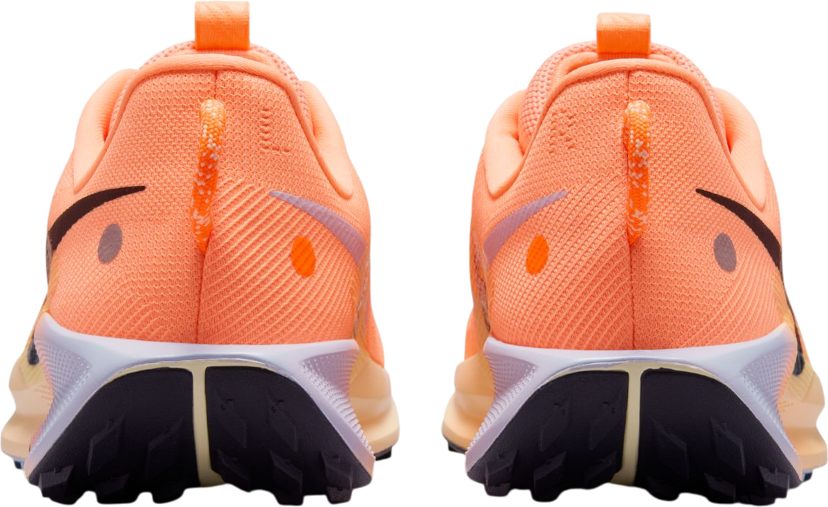 Scarpe per sentieri Nike Pegasus Trail 5 - Top4Running.it