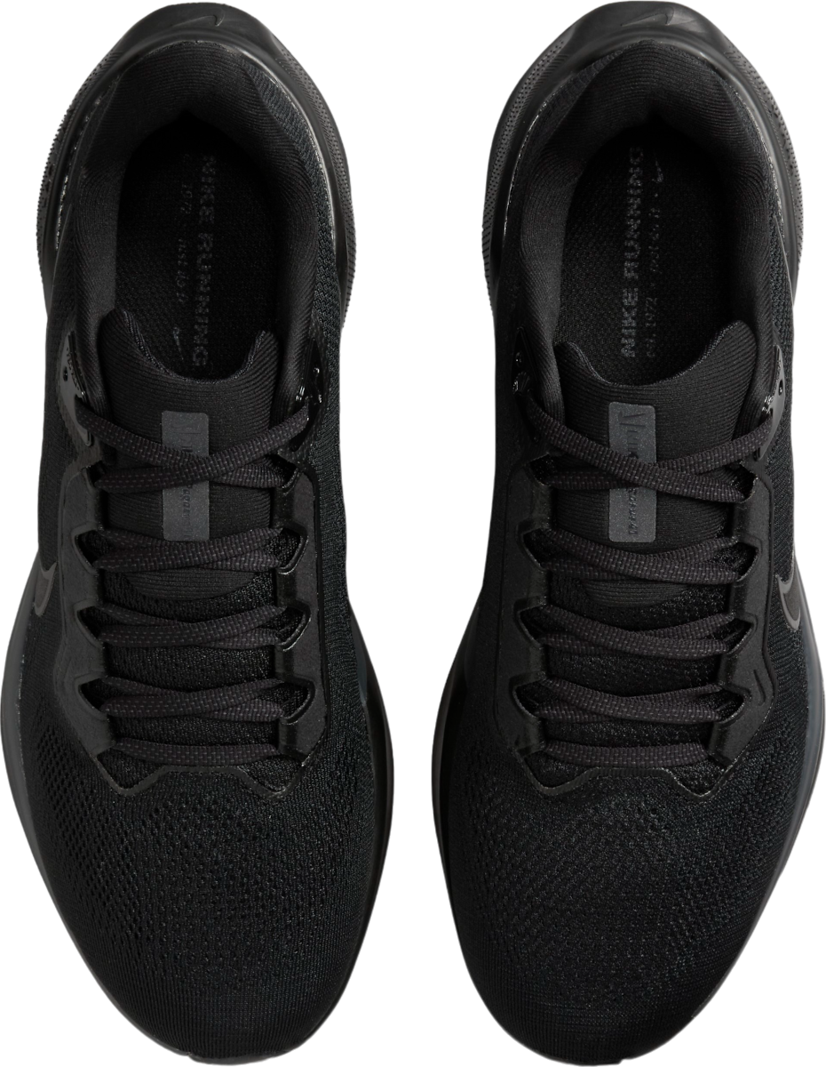 Παπούτσια για τρέξιμο Nike Pegasus 41 - Top4Running.gr
