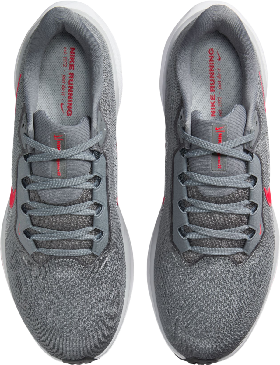 Παπούτσια για τρέξιμο Nike Pegasus 41 - Top4Running.gr