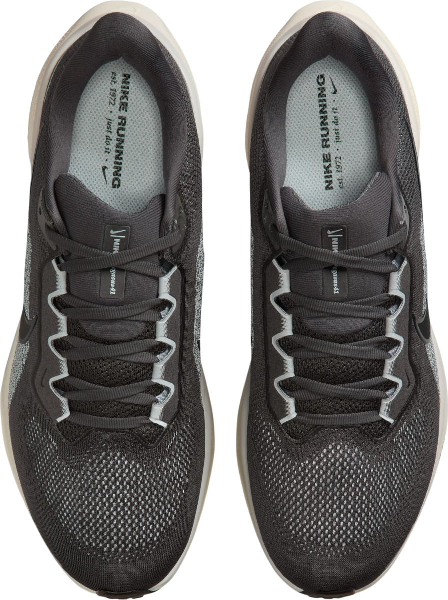 Running shoes Nike Pegasus 41 - 11teamsports.ie