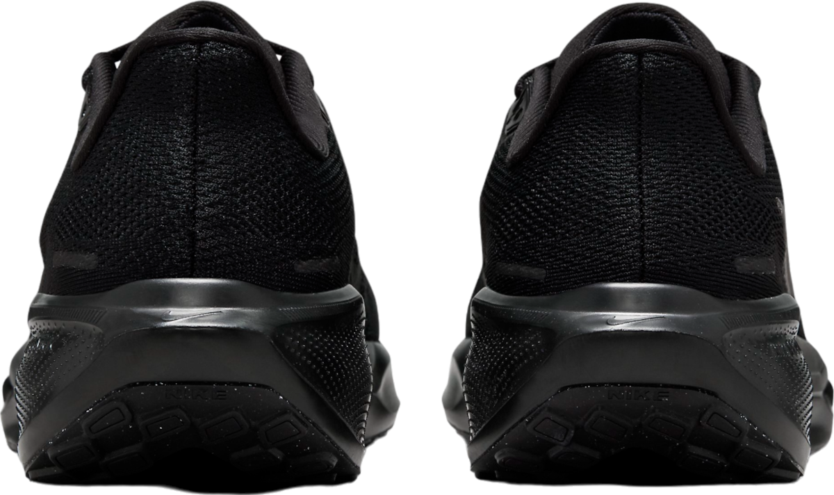 Laufschuhe Nike Pegasus 41 - Top4Running.de