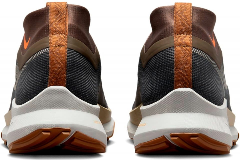 Shoes Nike Pegasus Trail 4 GORE-TEX - Top4Running.ie