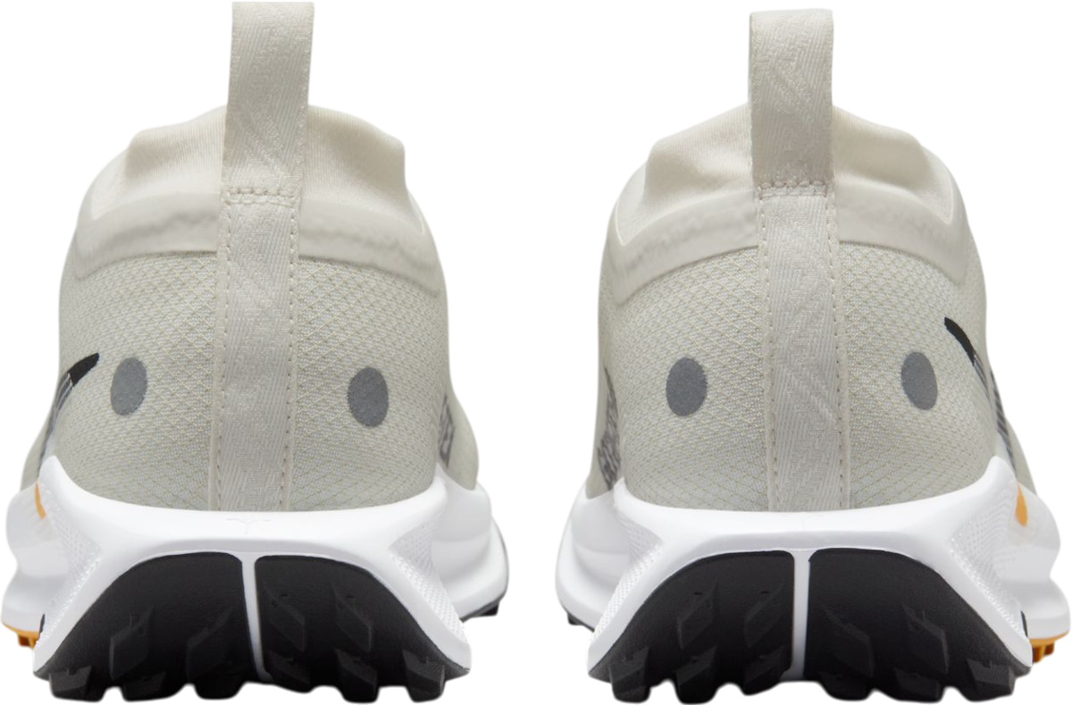Shoes Nike Pegasus Trail 5 GORE-TEX - Top4Running.ie