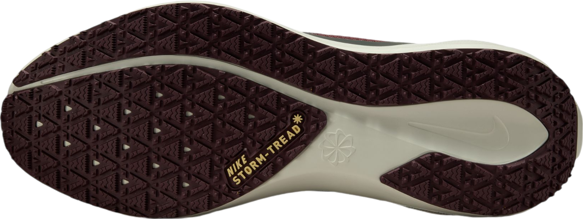 Обувки за бягане Nike Pegasus 41 GORE-TEX - Top4Running.bg