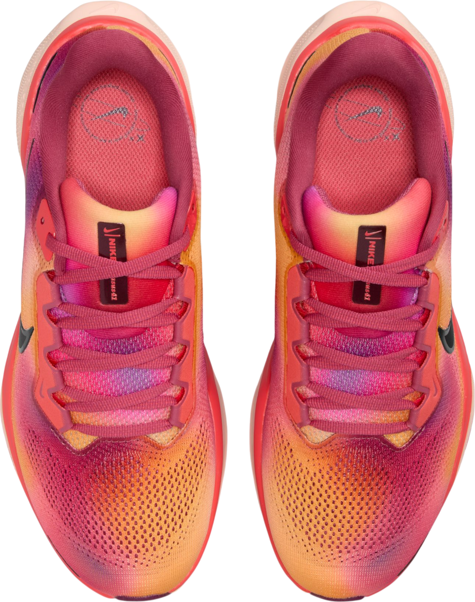 Παπούτσια για τρέξιμο Nike Pegasus 41 SE - Top4Running.gr