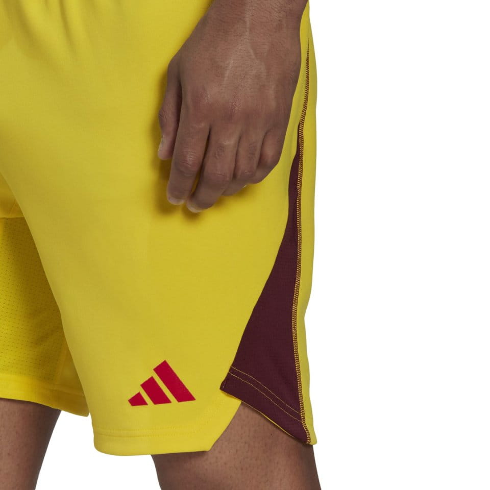 Pánské brankářské šortky adidas Tiro 23 Pro - 11teamsports.cz