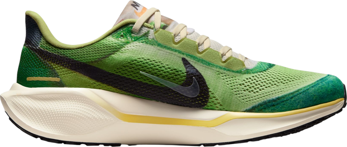 Παπούτσια για τρέξιμο Nike Pegasus 41 SE - Top4Running.gr