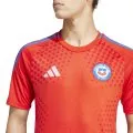 Camisa adidas ANFP H JSY 2024 - 11teamsports.pt