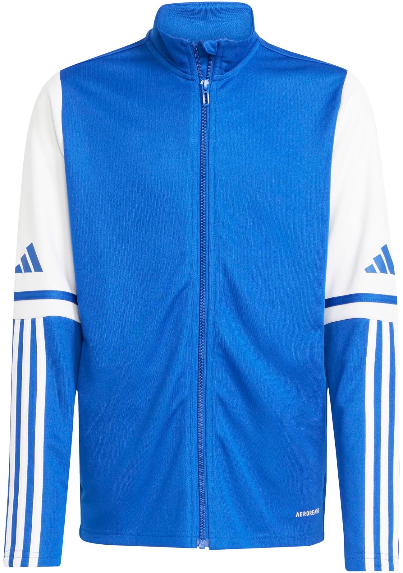 Kurtka adidas SQUADRA25 TR JKT Y - 11teamsports.pl