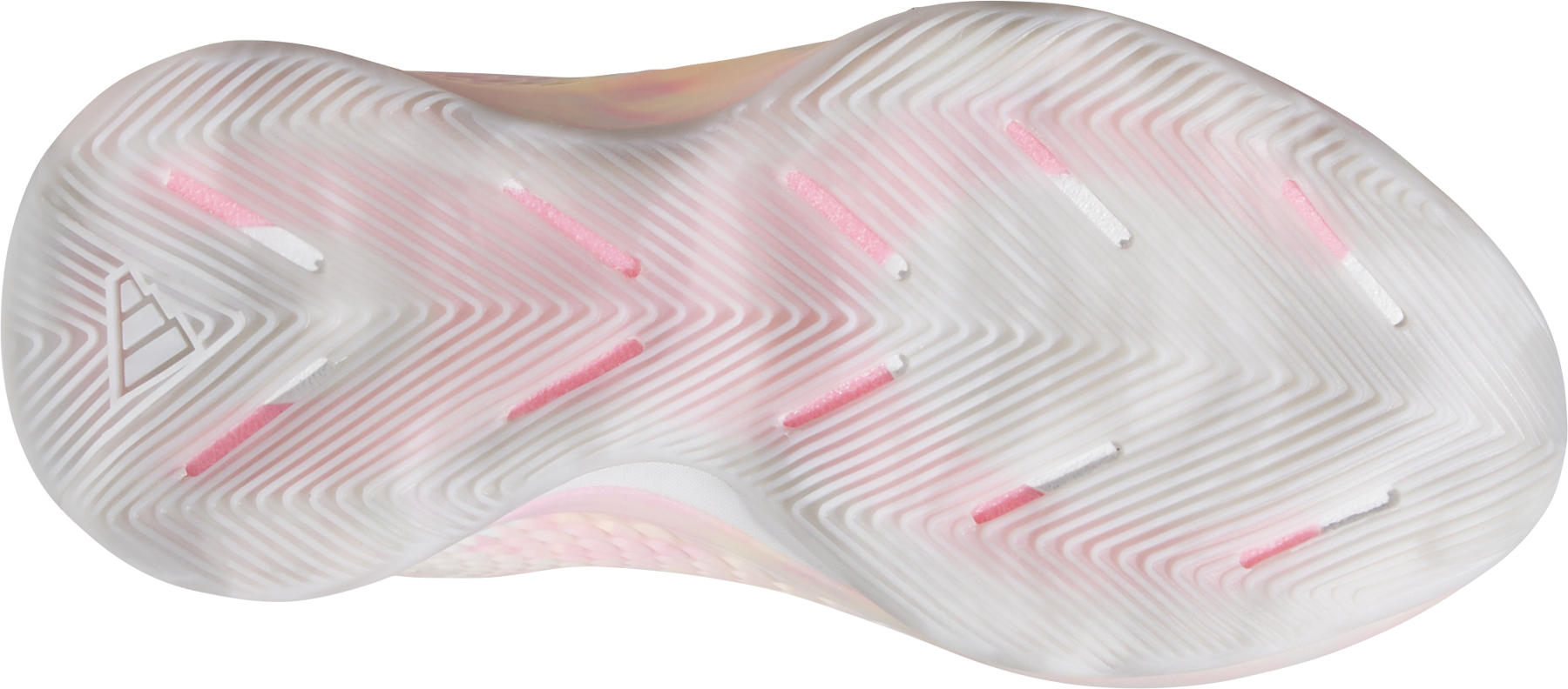 Buty do koszykówki adidas Anthony Edwards 1 Low Shoe Kids - 11teamsports.pl